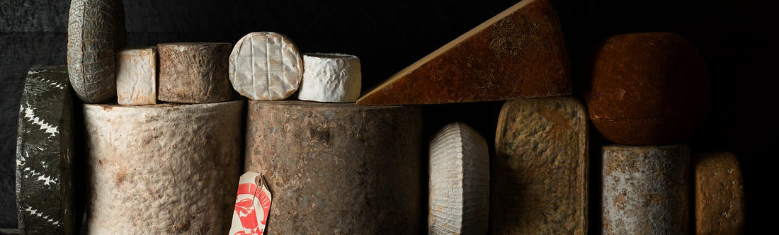 Artisan Cheeses | The Fine Cheese Co – The Fine Cheese Co.