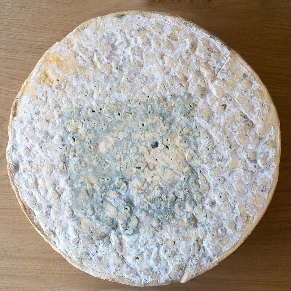 Blue Cheese | The Fine Cheese Co – The Fine Cheese Co.
