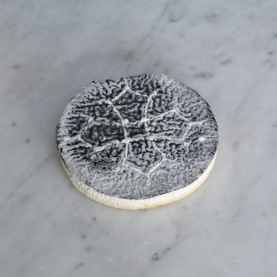 Goats' Milk Cheese – The Fine Cheese Co.