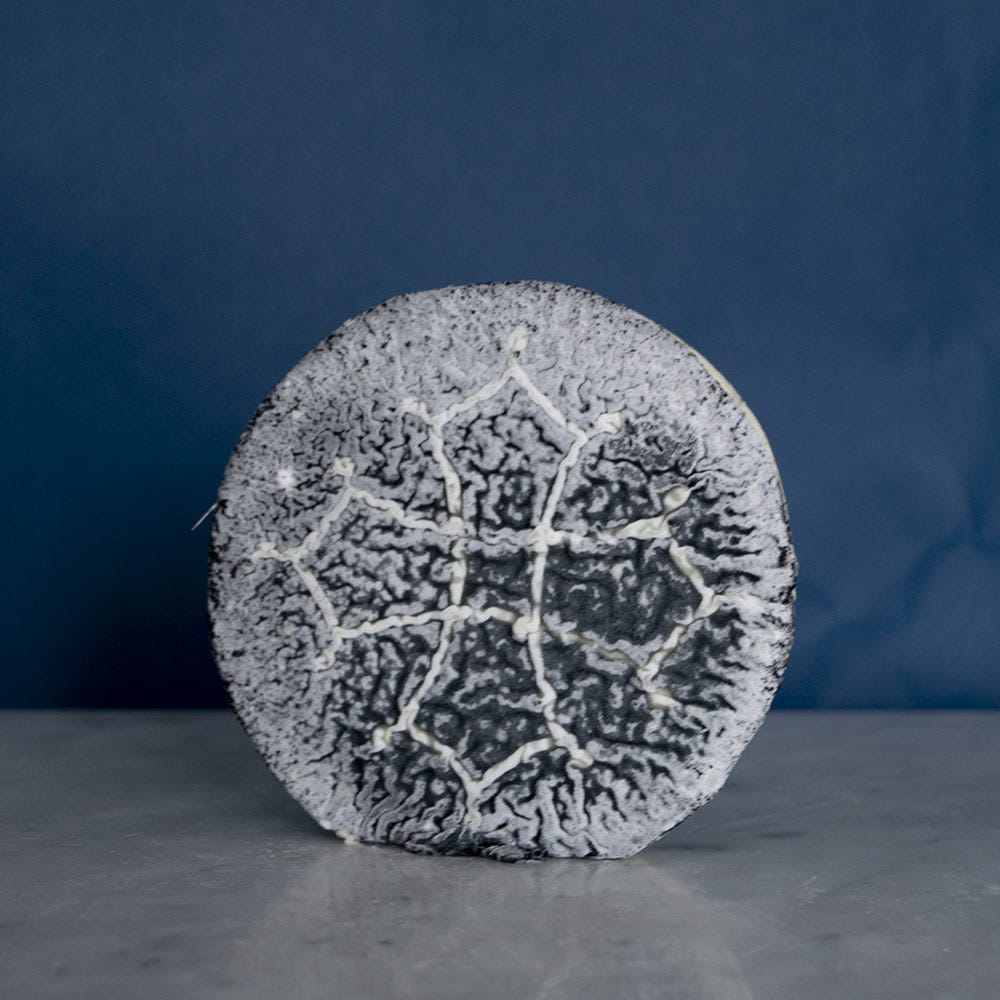 Goats' Milk Cheese – The Fine Cheese Co.